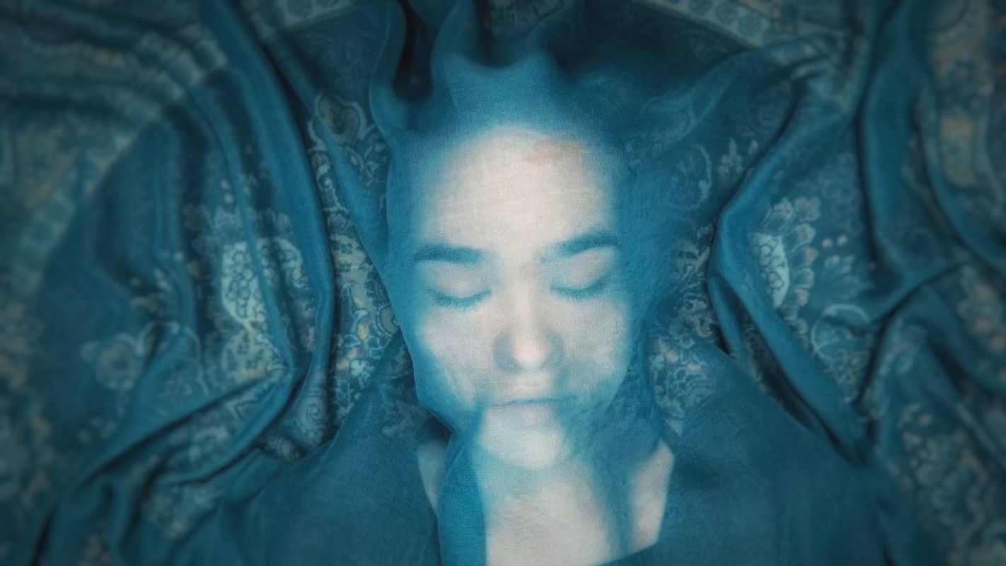 Best of IDFA on Tour | Theater Koningshof